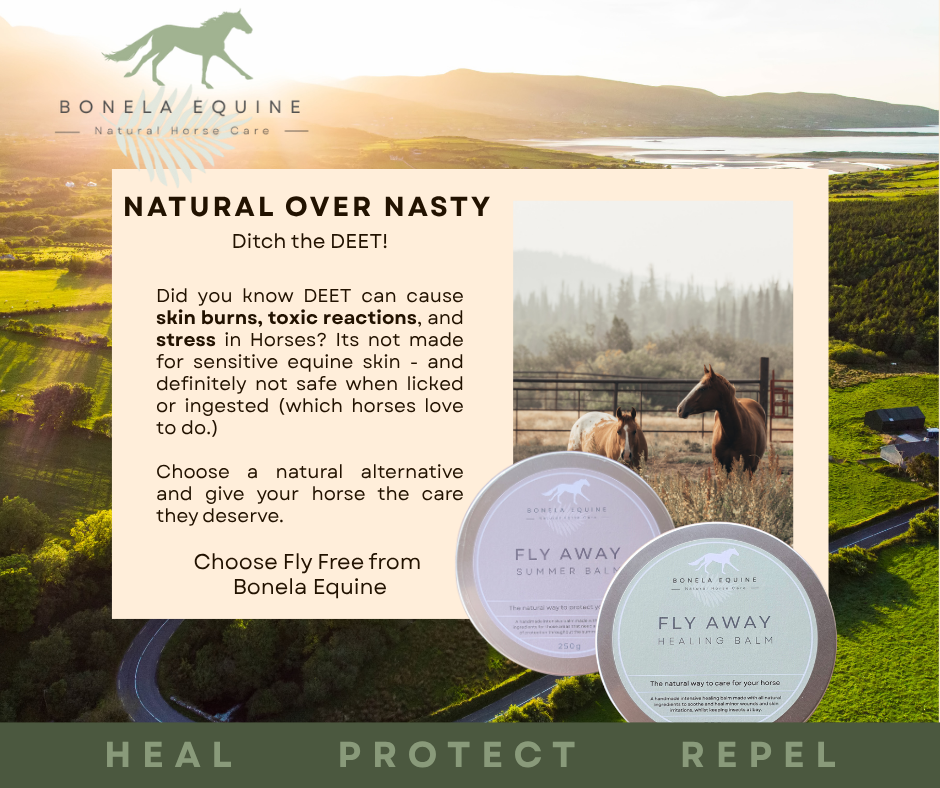 Natural Over Nasty: Why DEET Doesn’t Belong on Your Horse – Bonela Equine